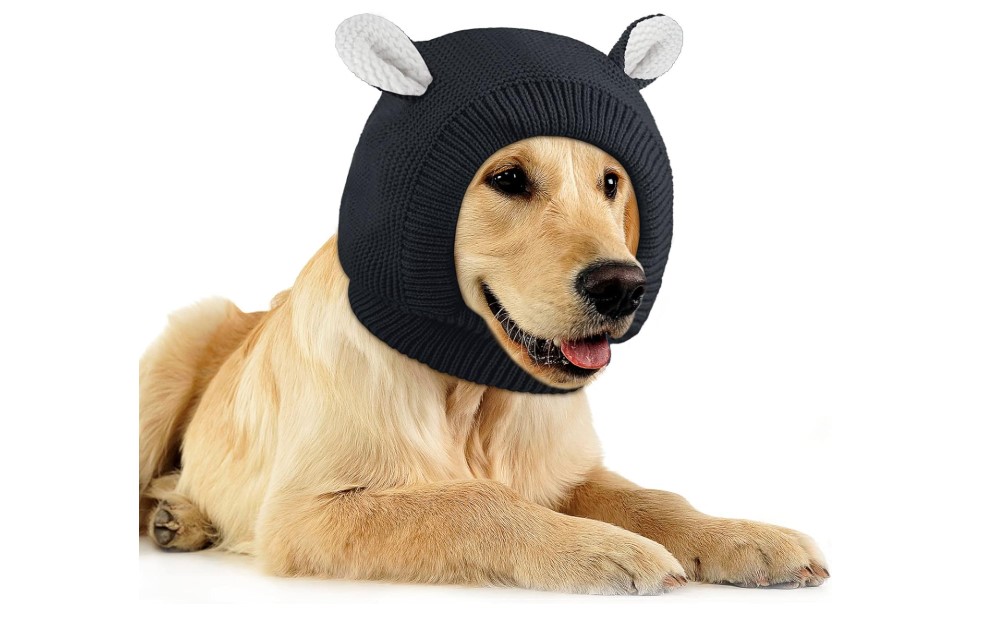 Best Dog Hearing Protection for Hunting (Ear Muffs) - Survival Moran